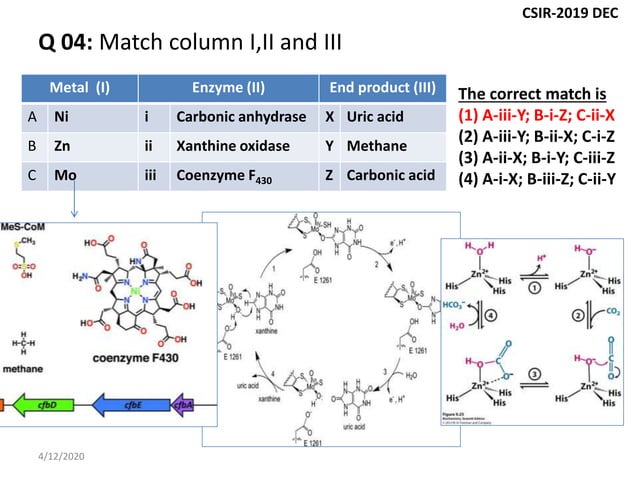 CSIR-Gate Bio-inorganic chemisry question (2019-2020) | PPTX ...