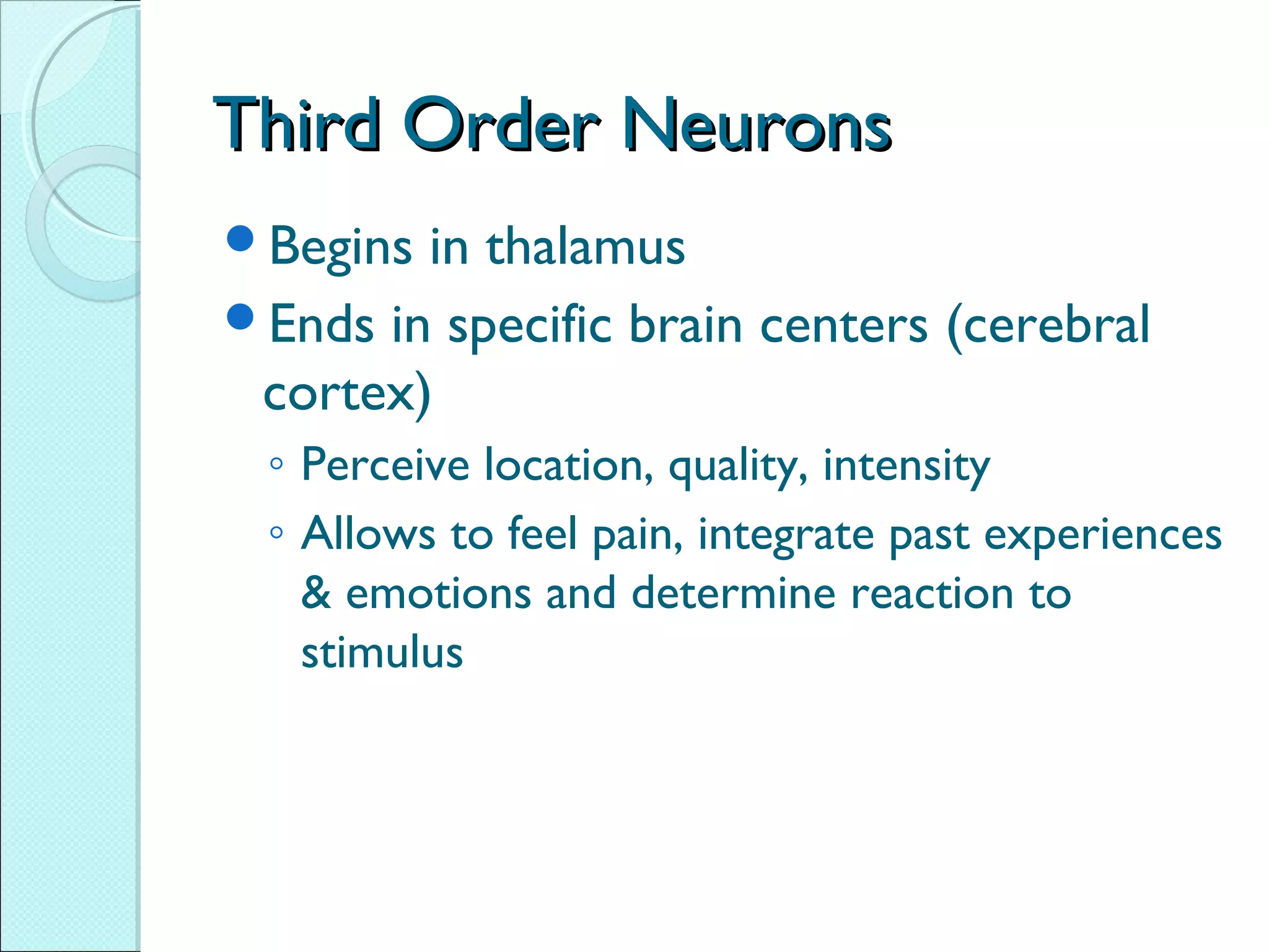 Neurobiology of pain | PPT