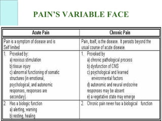 Neurobiology of pain | PPT