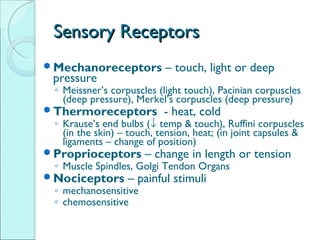 Neurobiology of pain | PPT