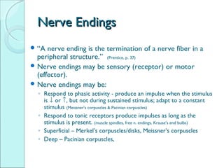 Neurobiology of pain | PPT