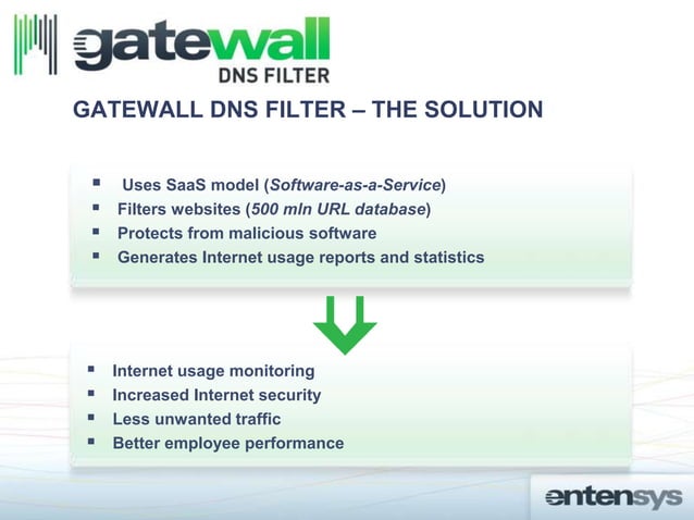 GateWall DNS Filter | PPT
