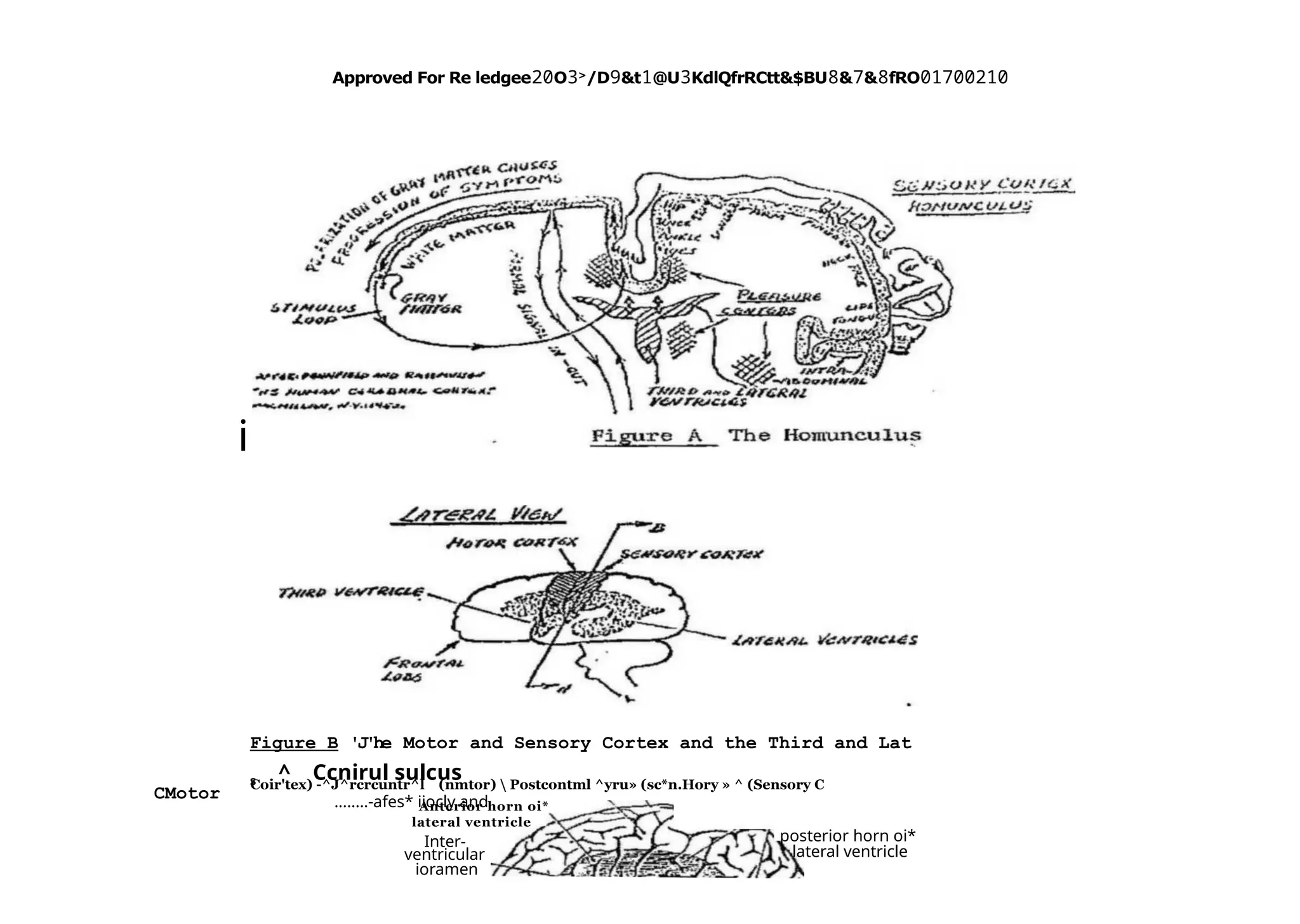 The Gateway Process is a technique developed. | PPT
