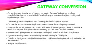 Gateway cloning | PPTX