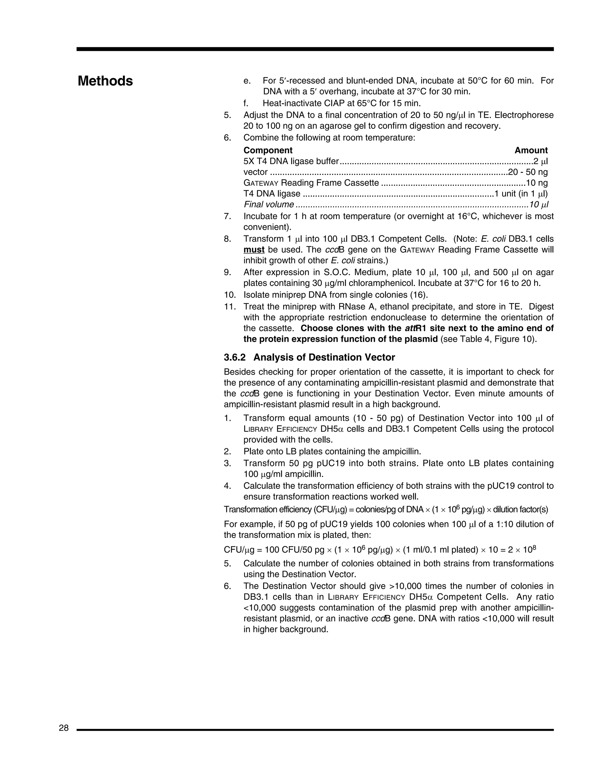 Gateway Cloning Technology - Instruction Manual | PDF