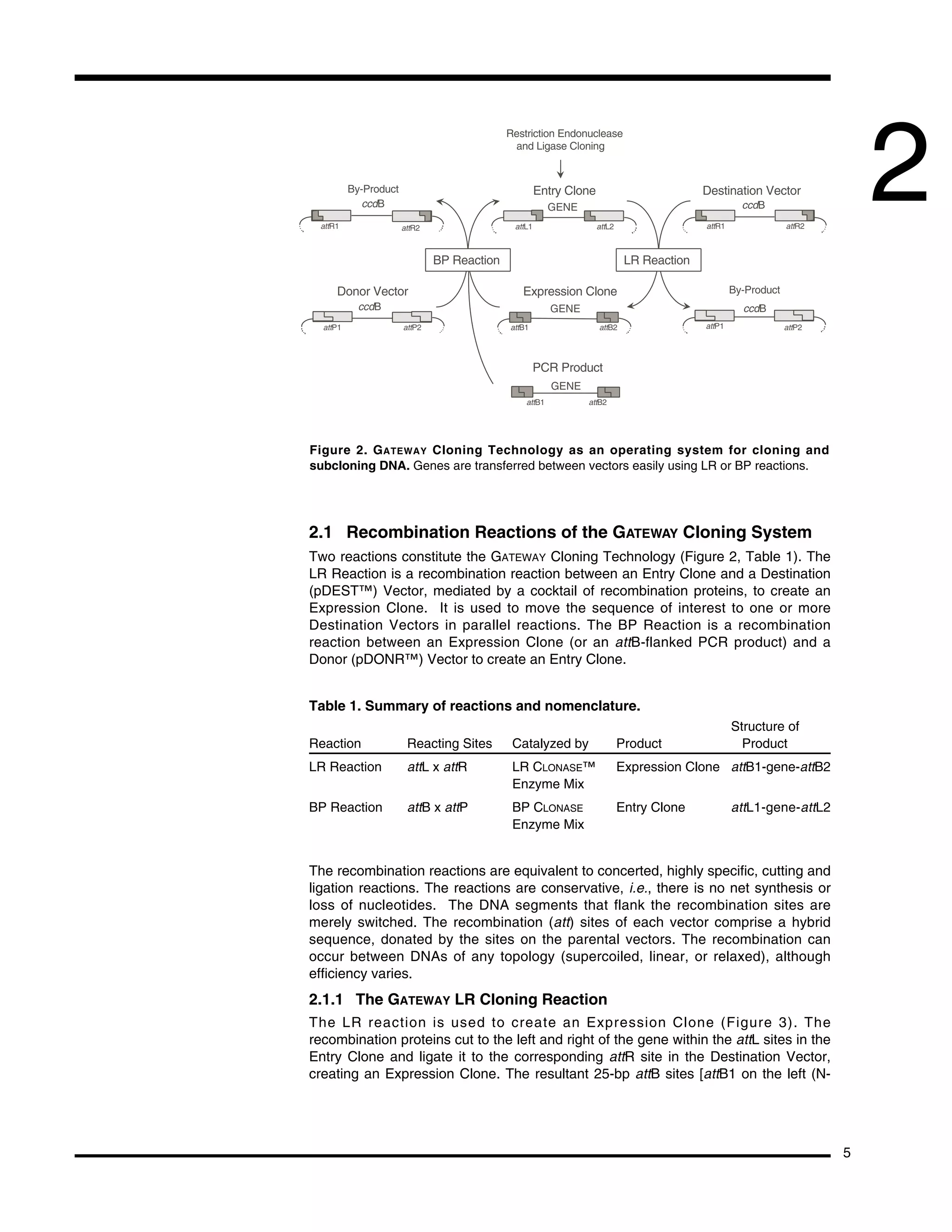 Gateway Cloning Technology - Instruction Manual | PDF