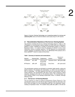 Gateway Cloning Technology - Instruction Manual | PDF