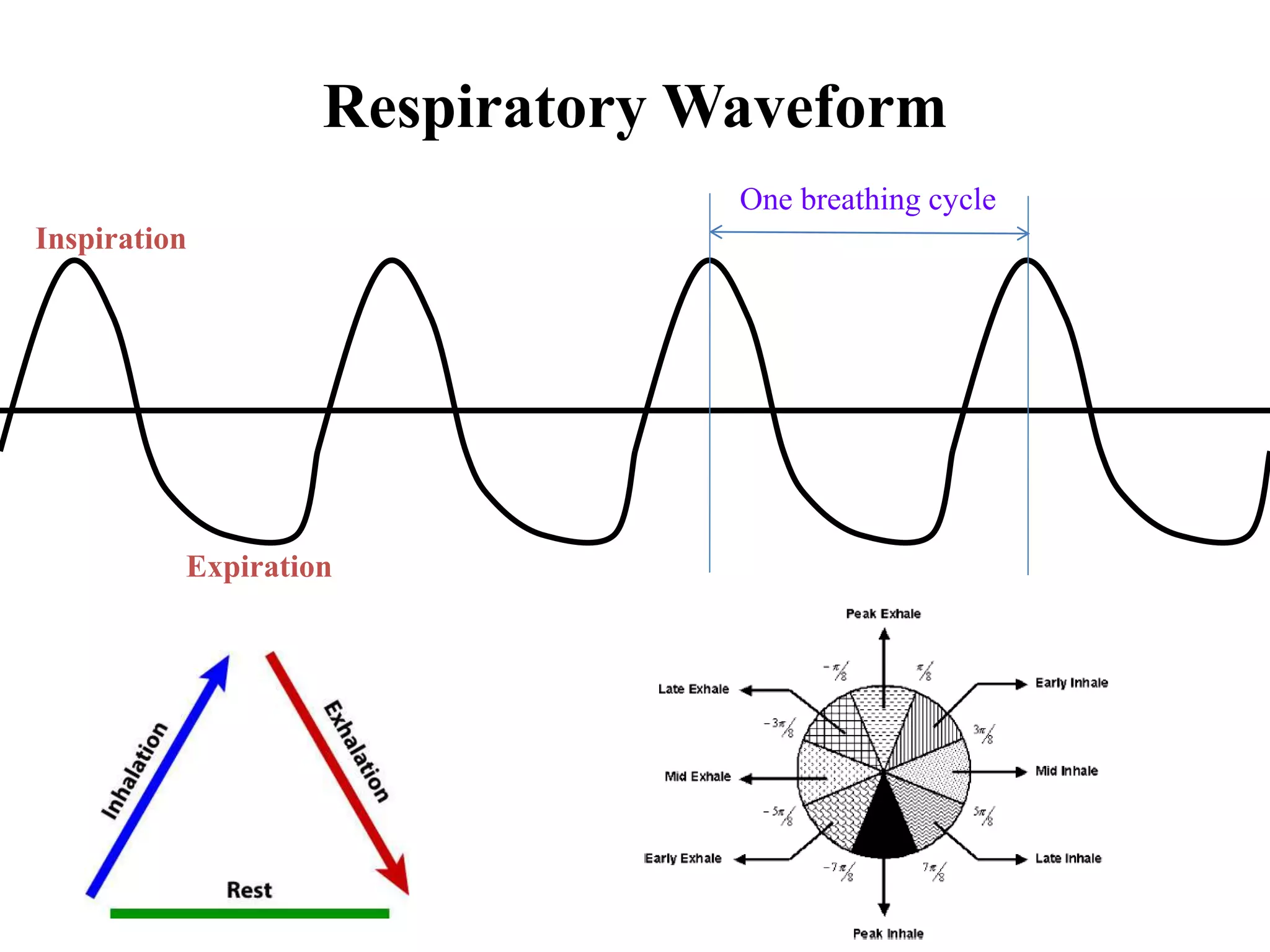 4D Scan and Respiratory Gating | PPTX