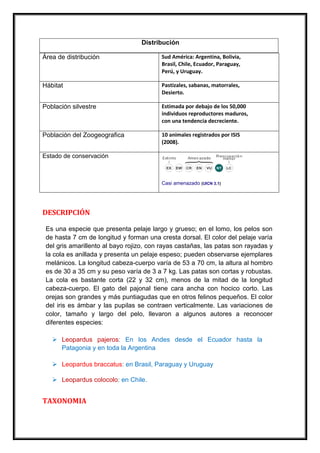 Gato pajonal (leoparduscolocolo) | PDF