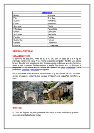 Gato pajonal (leoparduscolocolo) | PDF