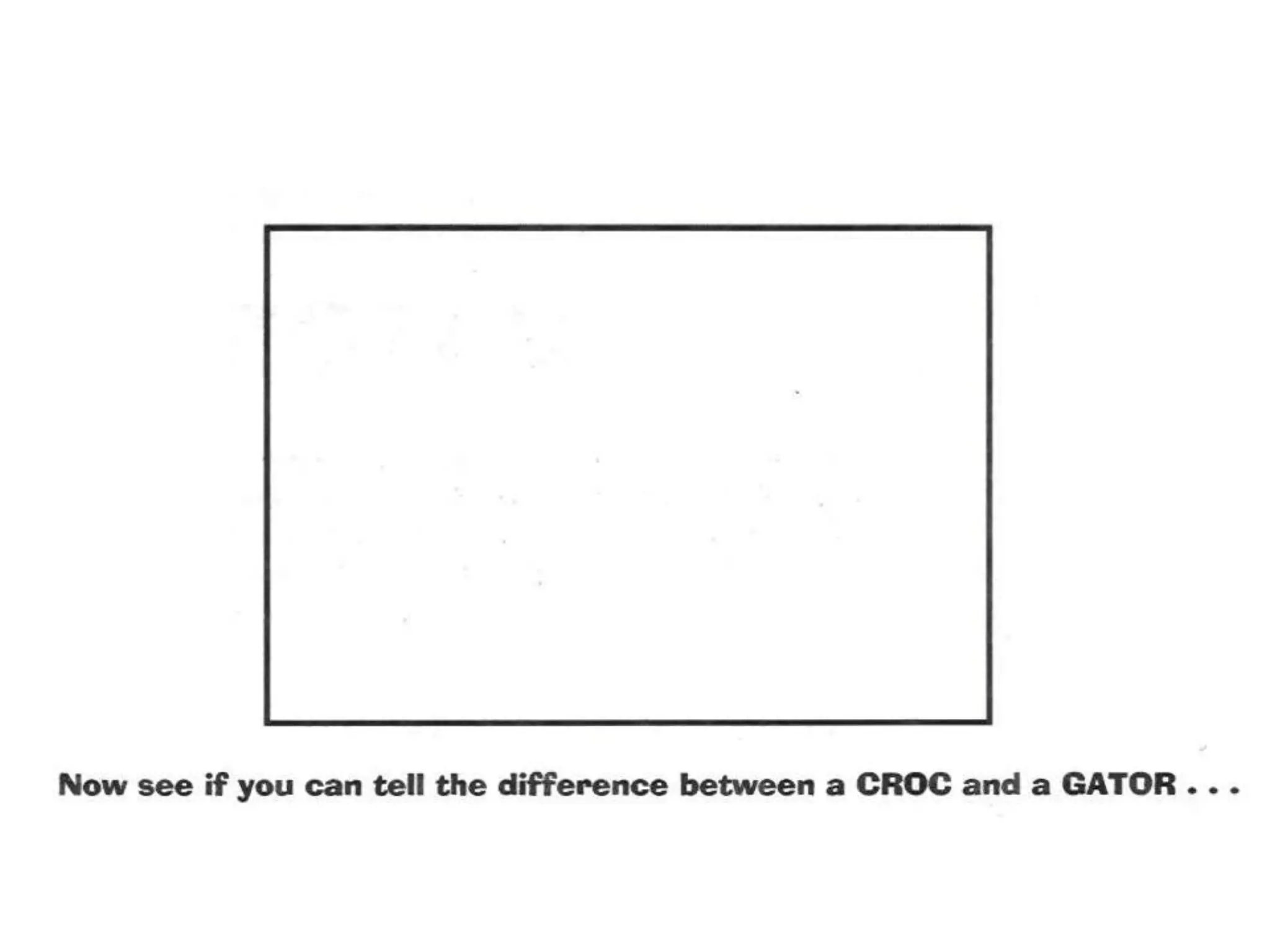 Gator aid powerpoint | PPT