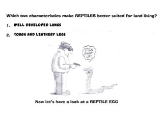 Gator aid powerpoint | PPT