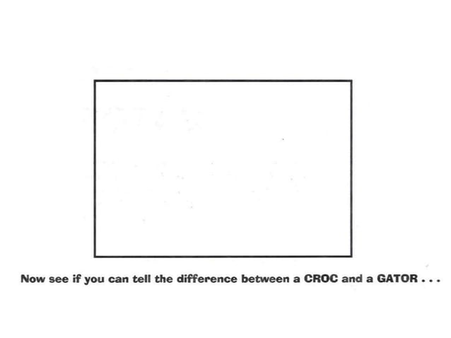 Gator aid powerpoint | PPT