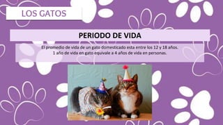 Los Gatos (Información básica y General).pptx