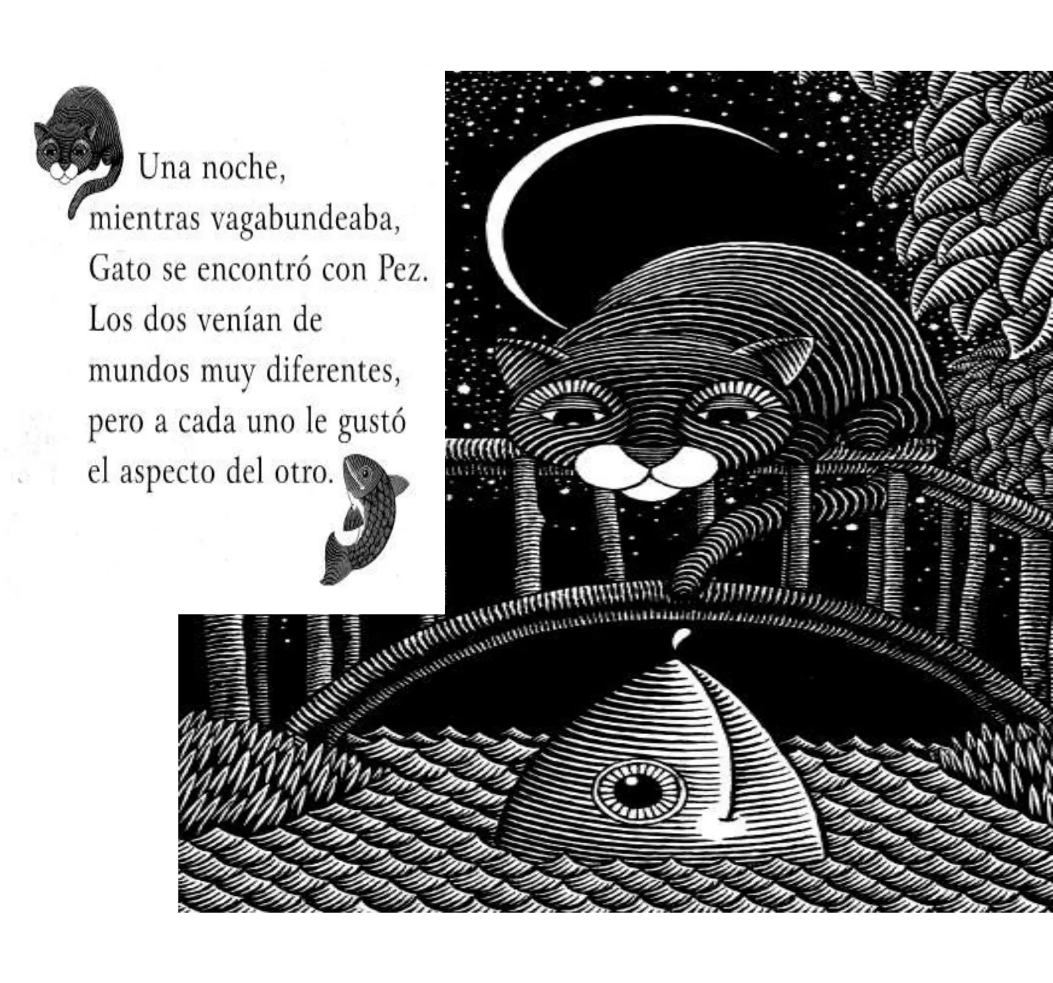 Gato y pez | PPTX