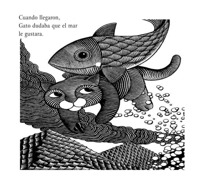 Gato y pez