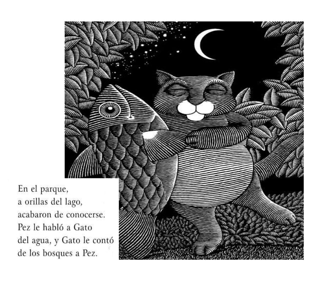 Gato y pez