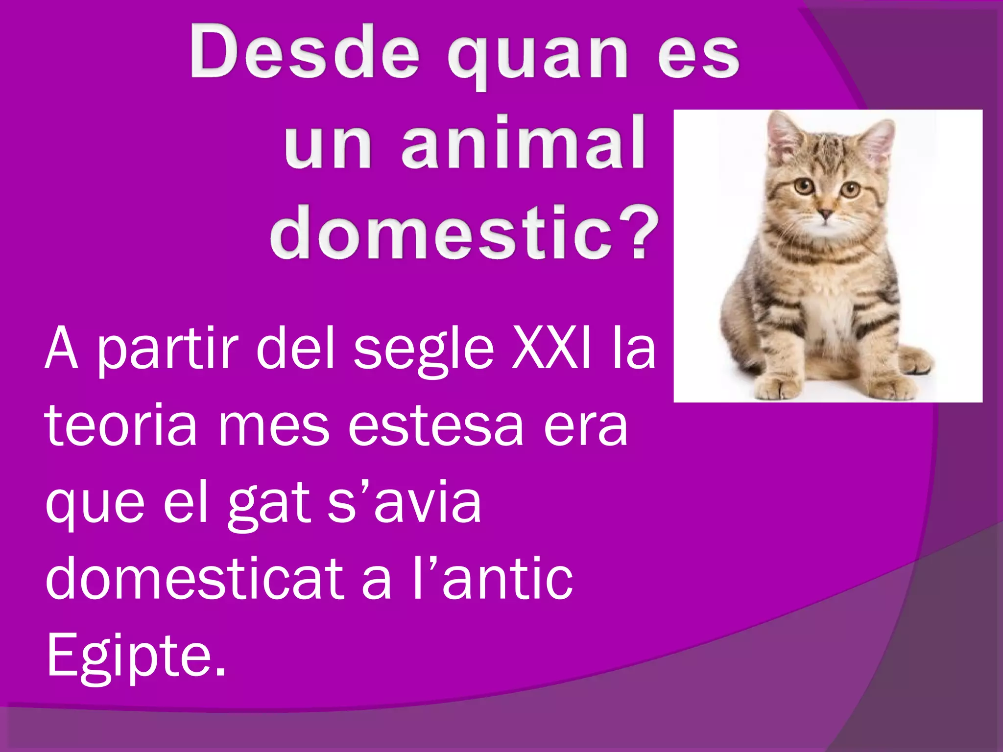 Gat powerpoint | PPT