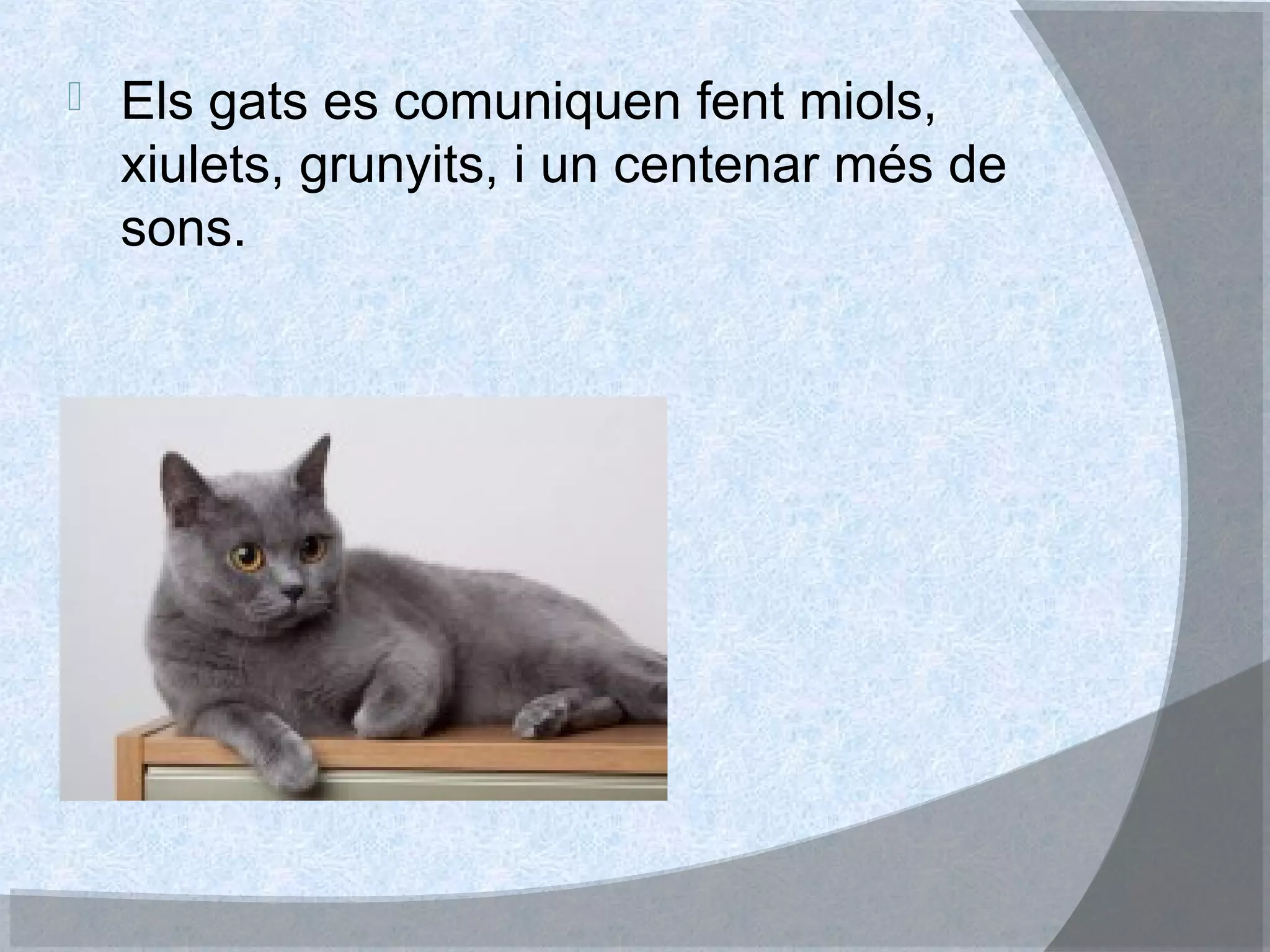 Gat powerpoint | PPT