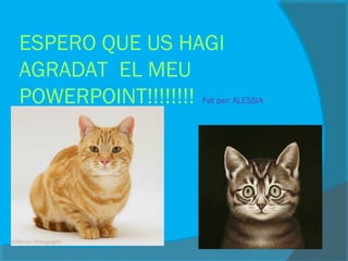 Gat powerpoint | PPT