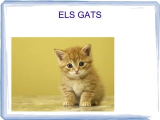 Gats | PPT