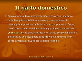Gatto | PPT