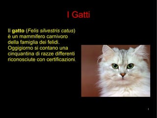 i Gatti | ODP