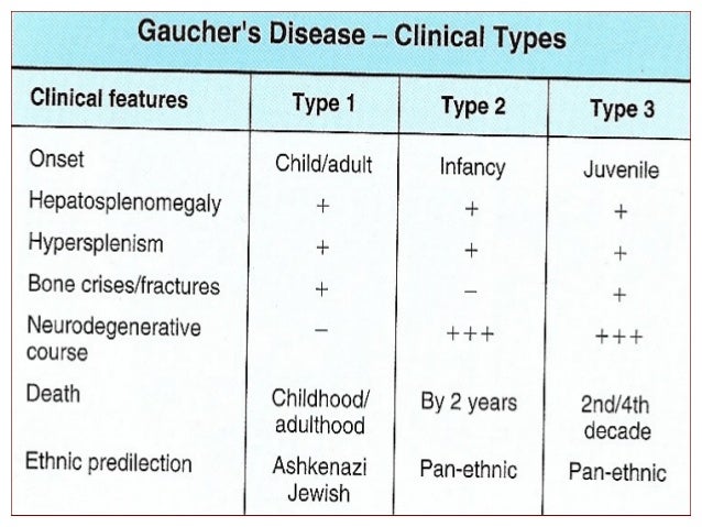 Gaucher's disease - Pathology