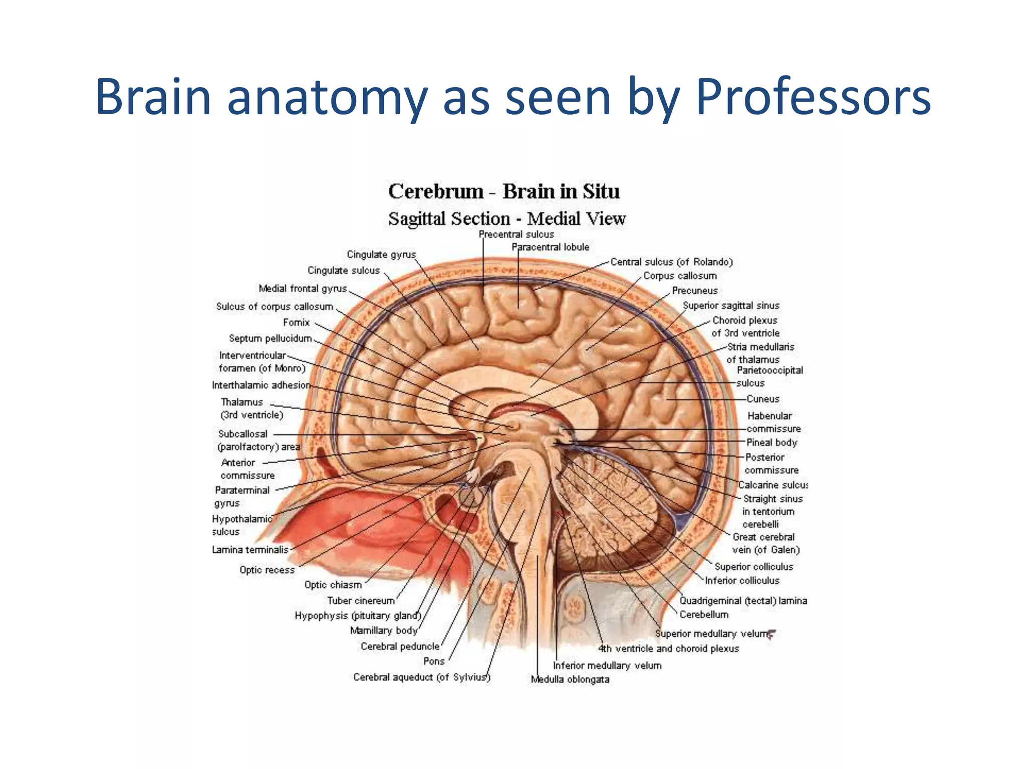 How to read a Head CT, CT Brain | PPTX