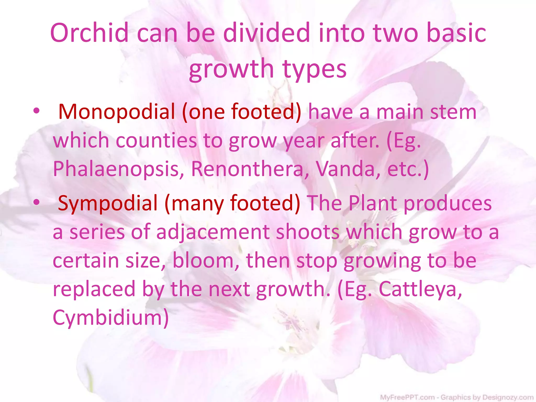 family orchidaceae ppt | PPTX
