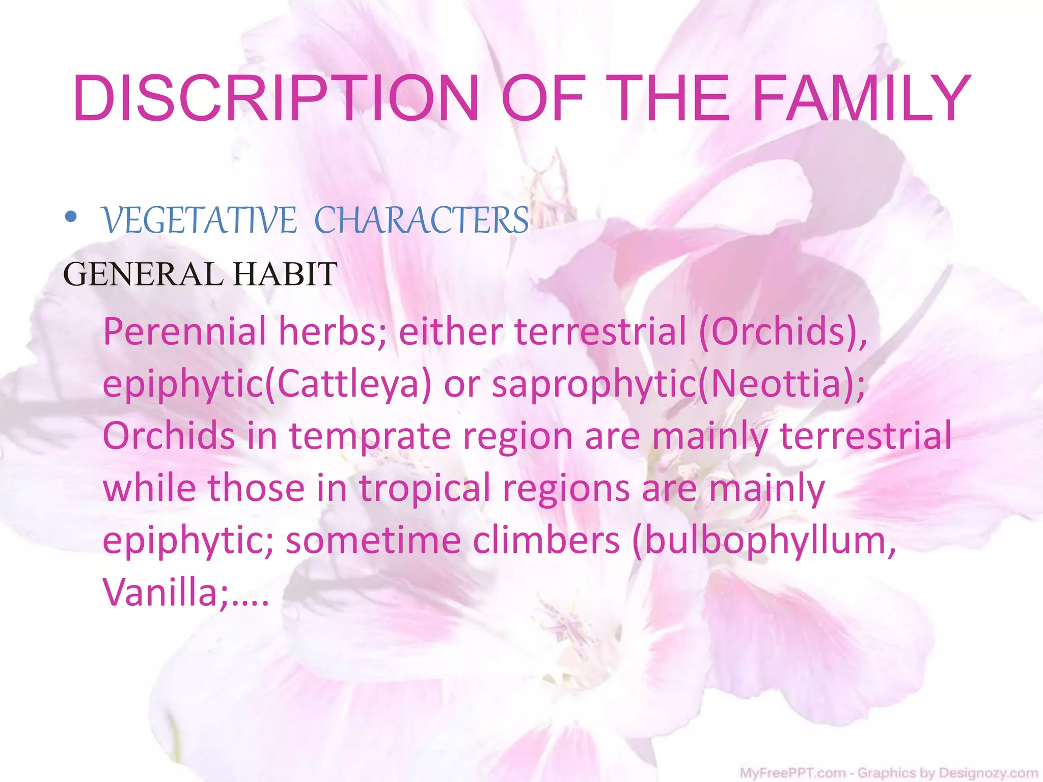 family orchidaceae ppt | PPTX