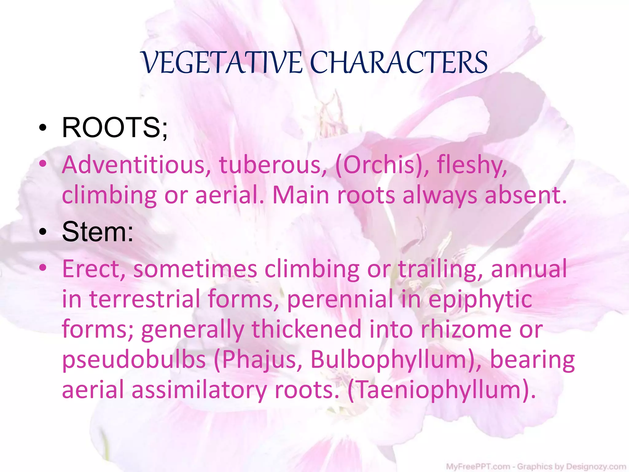 family orchidaceae ppt | PPTX