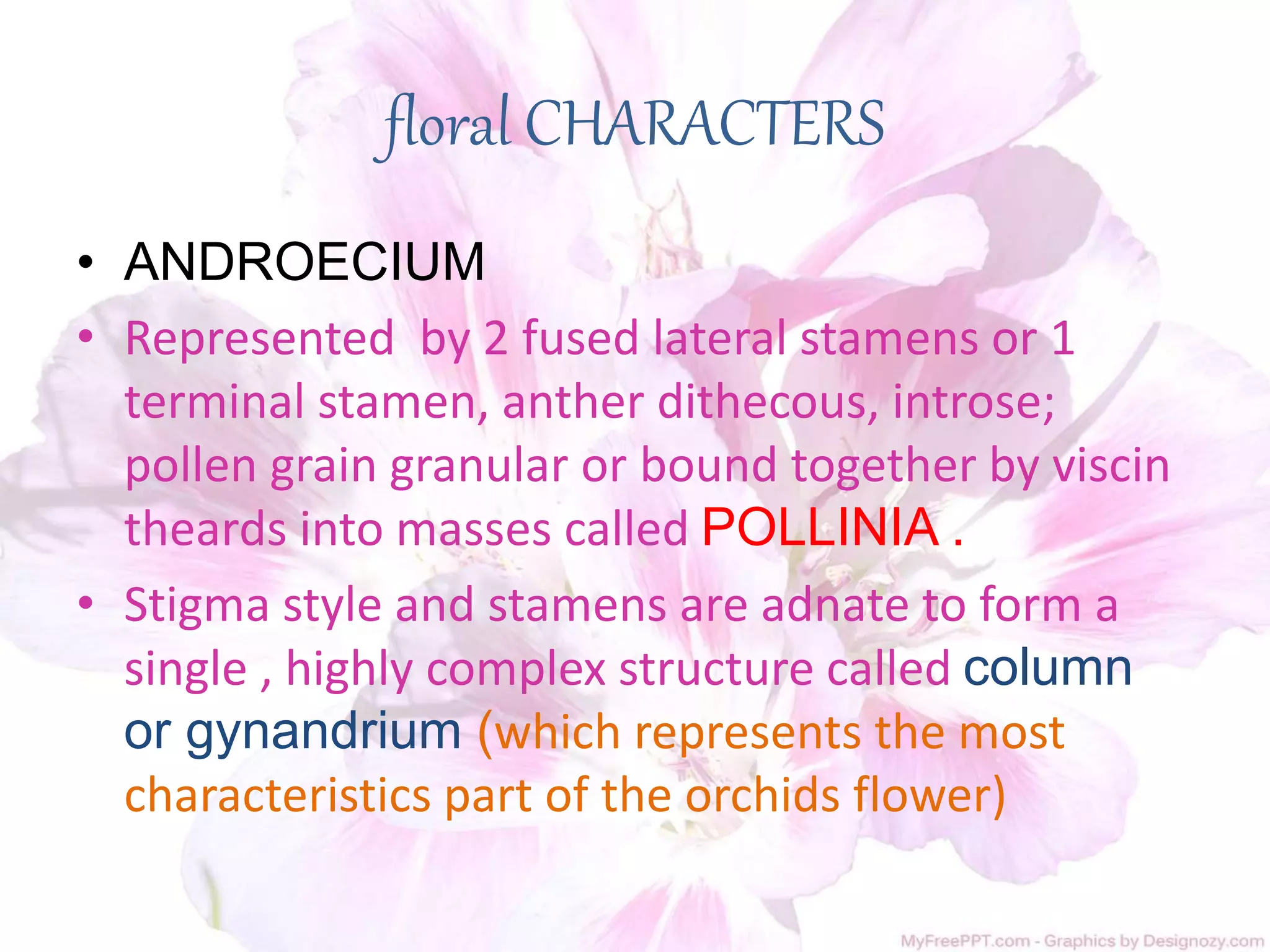 family orchidaceae ppt | PPTX