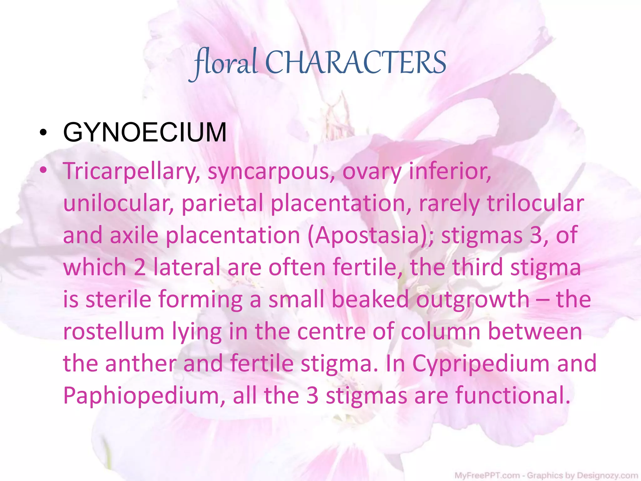 family orchidaceae ppt | PPTX