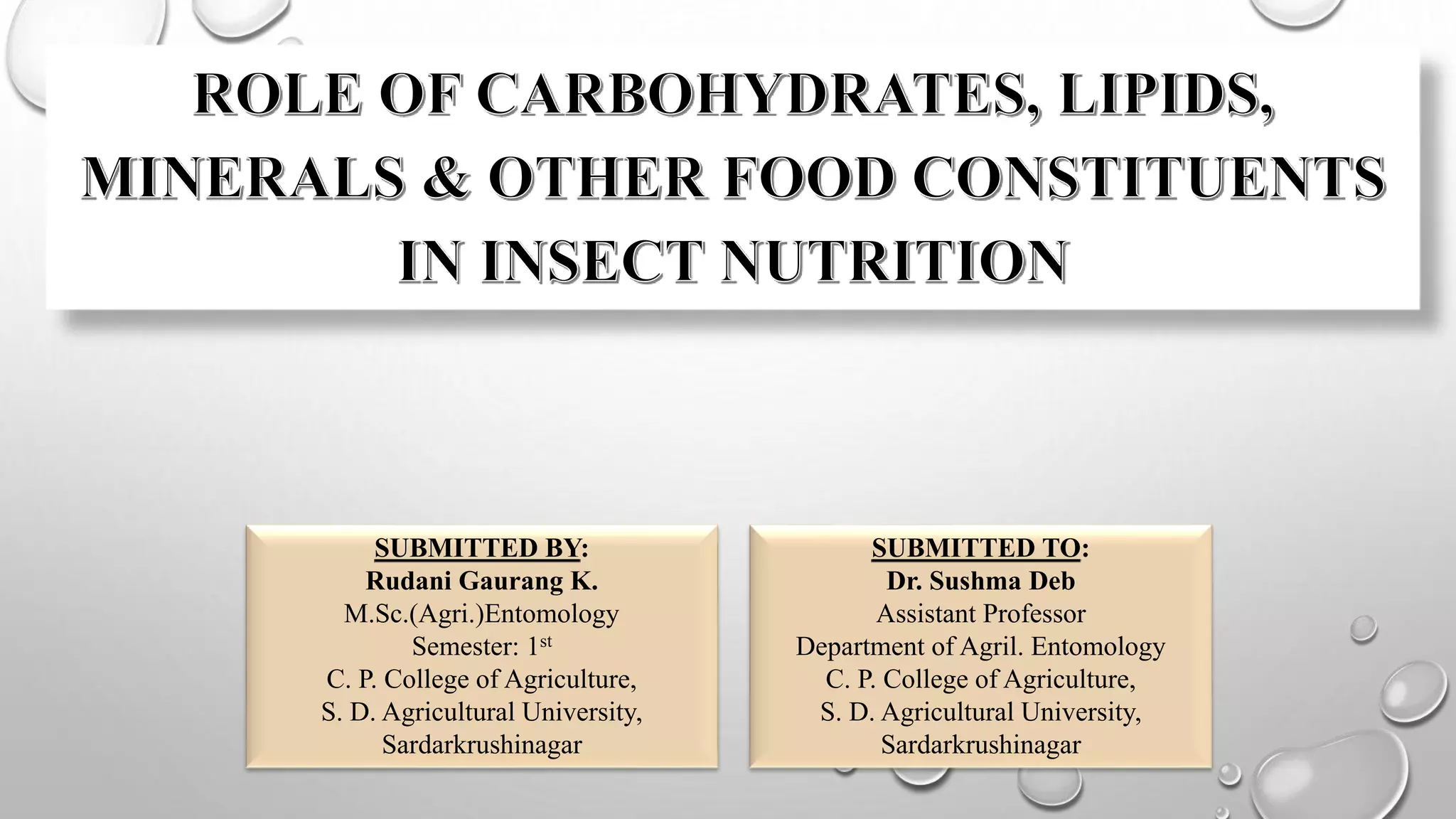 role of carbohydrade, lipids and water in insect digetion | PPTX