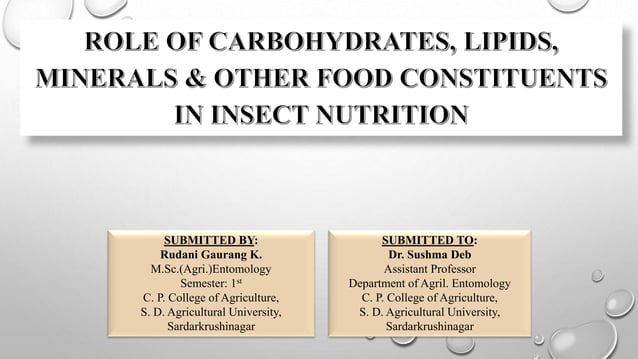 role of carbohydrade, lipids and water in insect digetion | PPTX ...