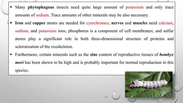 role of carbohydrade, lipids and water in insect digetion | PPTX ...