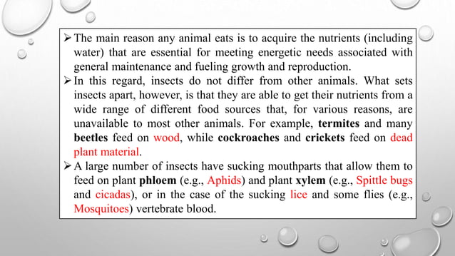 role of carbohydrade, lipids and water in insect digetion | PPTX ...