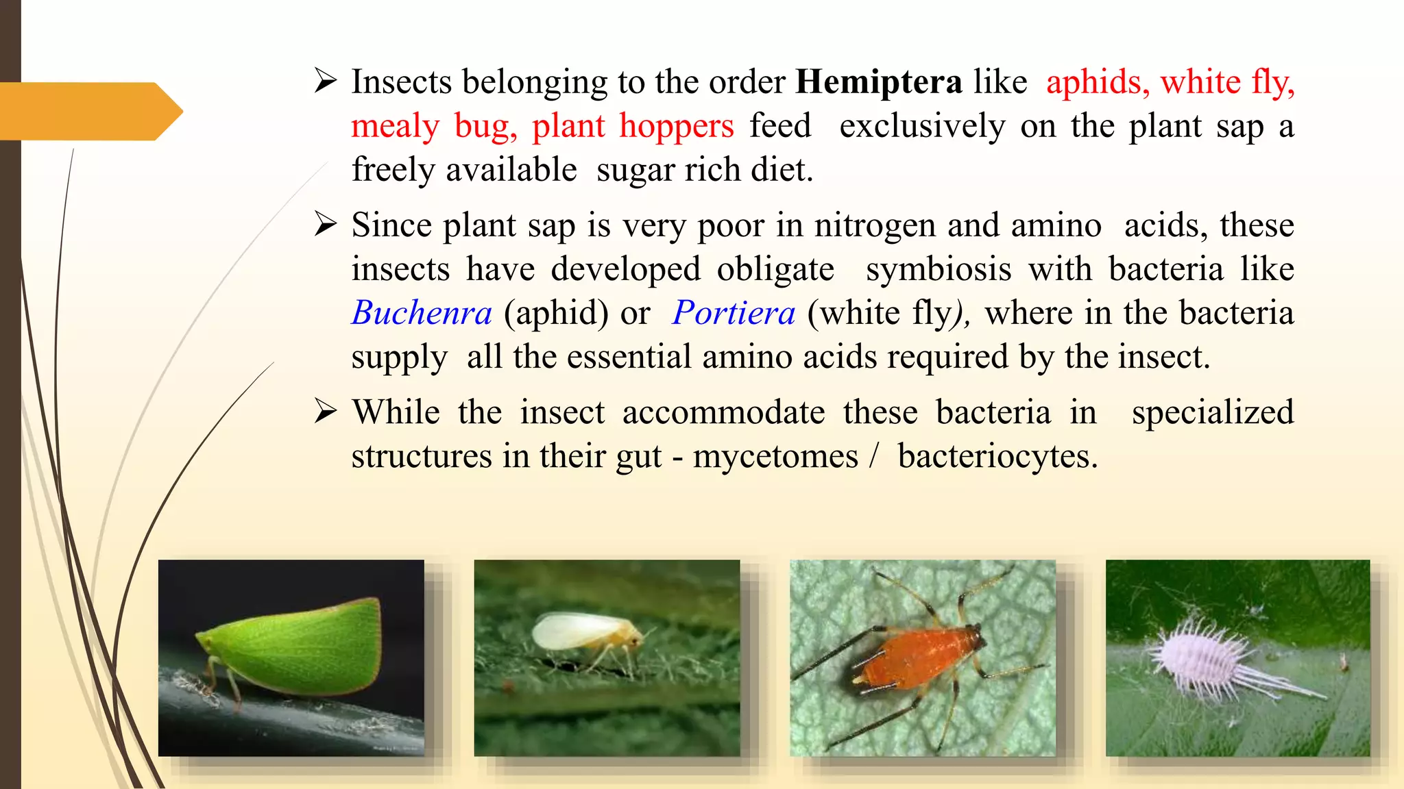 intra & extra cellular microorganism and their role in insect ...