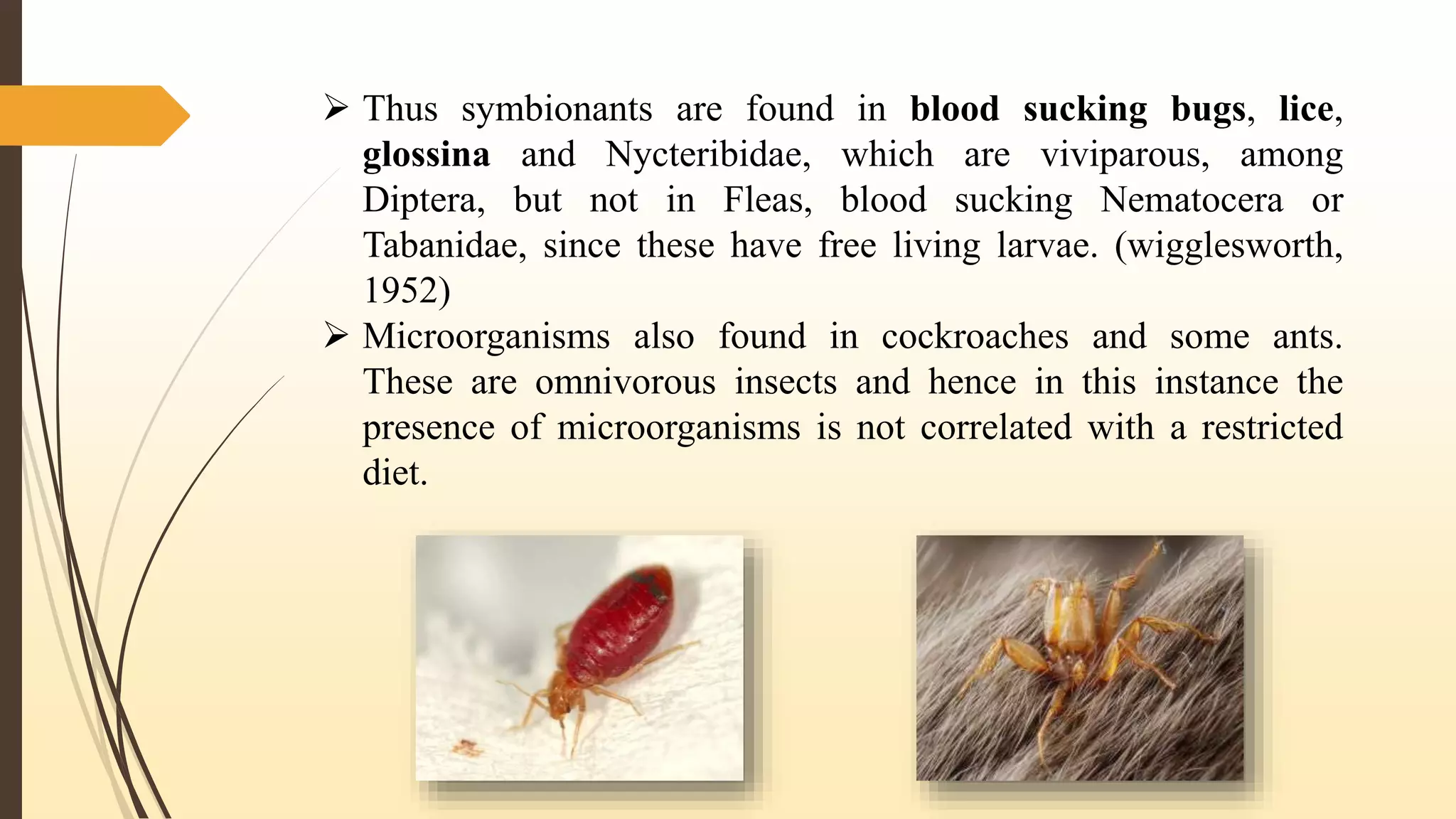 intra & extra cellular microorganism and their role in insect ...