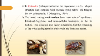 intra & extra cellular microorganism and their role in insect ...