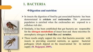 intra & extra cellular microorganism and their role in insect ...