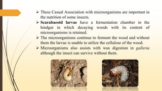 intra & extra cellular microorganism and their role in insect ...