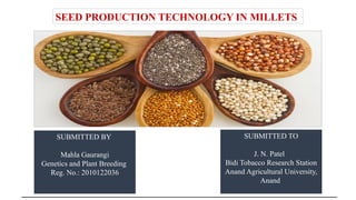 seed production technology in millets(finger millet) | PPTX