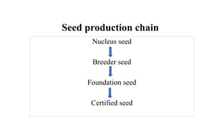 seed production technology in millets(finger millet) | PPTX