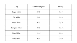 seed production technology in millets(finger millet) | PPTX