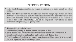 seed production technology in millets(finger millet) | PPTX