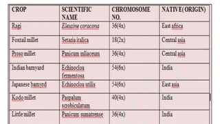 seed production technology in millets(finger millet) | PPTX