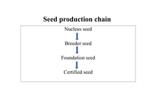 Gaurangi seed tech.pptx