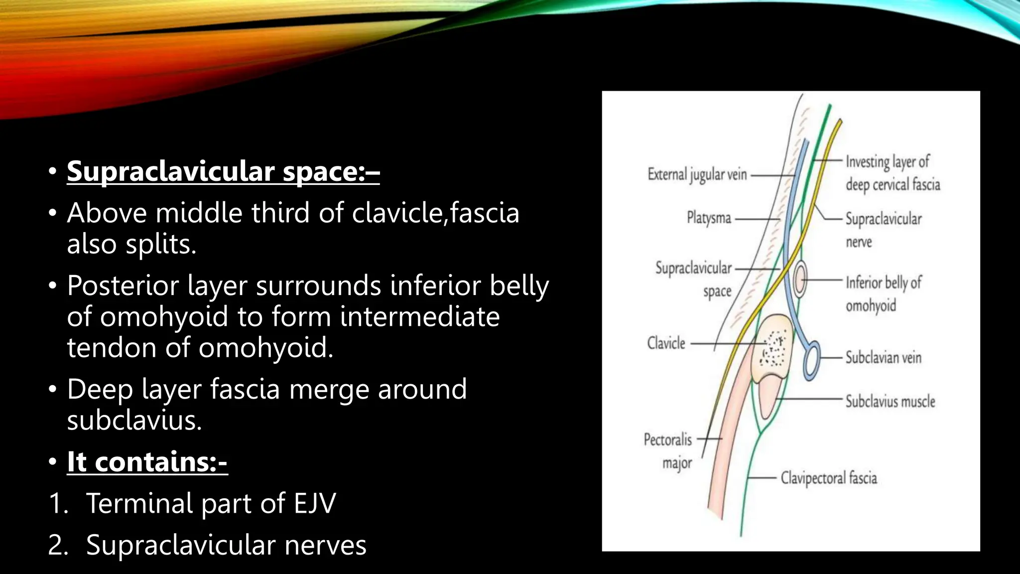 Gaurav kasuhik(deep cervical fascia).pptx